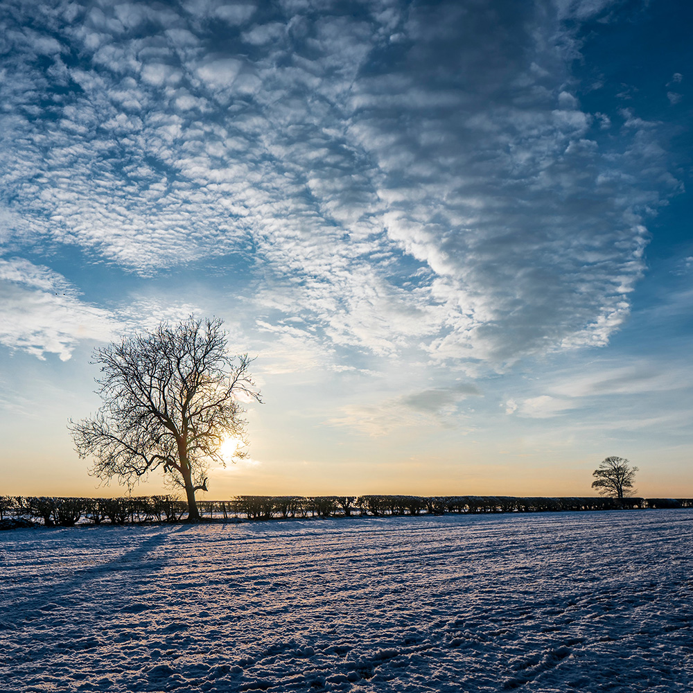 Van donker naar licht - Uitvaartonderneming Wilma van Opstal